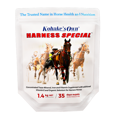 Harness Special – Kohnke's Own