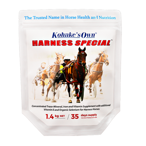 Harness Special – Kohnke's Own